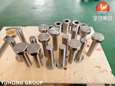 China High Performance Inconel Industrial Metal Fasteners ASTM ASME DIN Standard Resistant To Corrosion for sale