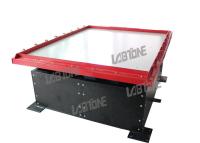 China Simple Installation Transportation Simulation Mechanical Shaker Table For Vibration Test for sale