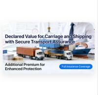 China Custom Value Added Services  Declared Value For Carriage for sale