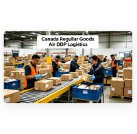 Quality Air Freight Shipping To Canada DDP Logistics Truck / Courier Final Dispatch for sale