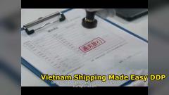 LCL Shipping To Vietnam Consolidated Sea Freight With DDP Door To Door Delivery