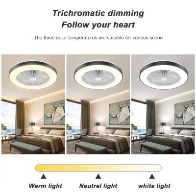 China 75W 6600mm Ceiling Fan Adjustable Brightness Air Cooler Dining Room Ceiling Fans With Lights for sale