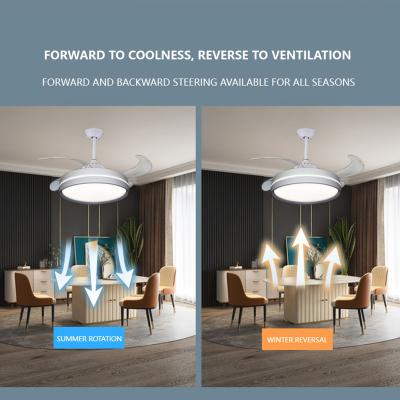 China 96W 500mm Ceiling Fan Super Silent Bedroom 42 Inch White Ceiling Fan With Light for sale