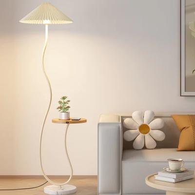 China 3000K-5500K Standing Table Lamp Modern Luxury Floor Lamps Decoration Desk Night Light for sale