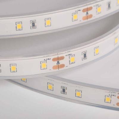 China 12V 24V LED light strip IP65 SMD COB Single Double LED Strip Lights for sale