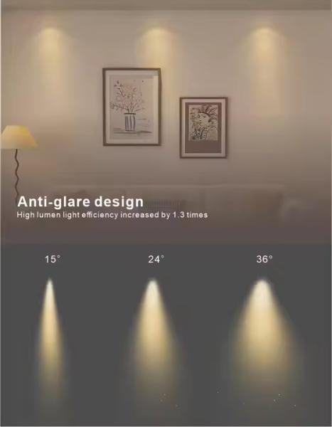 Quality LED Cabinet Spot Light 15W Frame Round LED Ceiling Lamp AC Neon Spot Light for sale