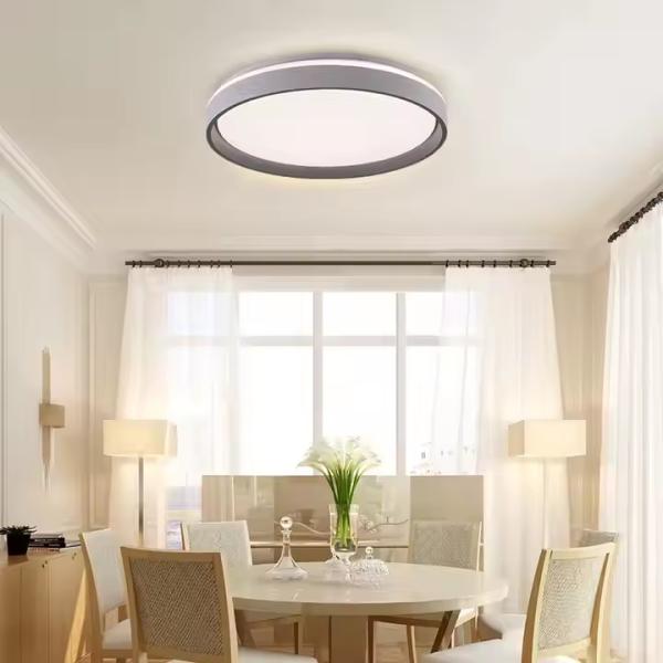 Quality Modern Flush Mount LED Ceiling Lights Fixture For Living Room Hallway Bedroom for sale