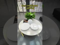 Lumière de plafond LED tricolore 48W Lumières de plafond rondes pour salon