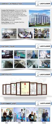 Cina Depilazione del pezzo della mano di Sapphire Crystal Filter IPL SHR IPL in vendita