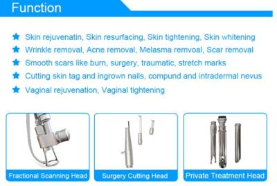 Cina Macchina frazionaria Vaginal Skin Rejuvenation Laser Machine del laser di CO2 dell'erbio di dermatologia in vendita