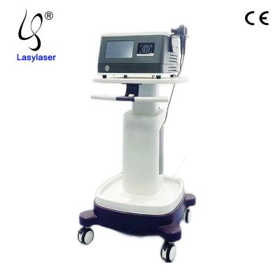 Cina Depilazione portatile del laser del ND Yag dell'alessandrite della macchina del laser di ringiovanimento della pelle del salone di sollievo dal dolore in vendita