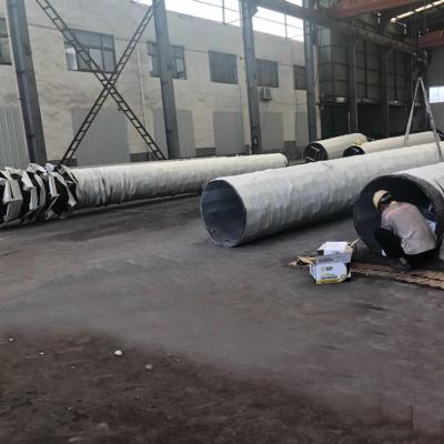 Cina la immersione calda delle torri cellulari del cammuffamento della palma di 30m ha galvanizzato l'albero artificiale del telefono in vendita