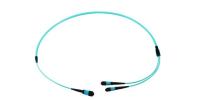 China 24 Fiber MPO MTP Trunk Cable 4.5mm Outer Jacket Multimode for sale
