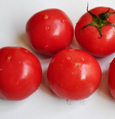 China Natural Tomato Extract water soluble Lycopene 10%powder for sale