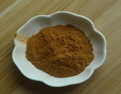 China 100% Natural 0.35% Isofraxidin HPLC/Sarcandra Glabra Extract powder for sale