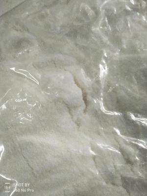 China Acer Truncatum Seed Extract Nervonic Acid 90%powder for sale