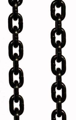 China 1000kgs Compact Manual Chain Block Unpowered Lifter Vital Type Te koop