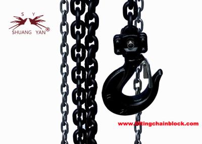 Cina Una buona prestazione di 2 Ton/4400LB/19.6Kn & paranco a catena di sollevamento manuale di sicurezza KITO in vendita
