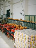 China High Efficiency Manual Chain Block Portable Lifting Device Minimum Maintenance for sale