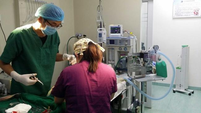 Good Quality Veterinary Anesthesia Machine for Small Animal Anesthesia