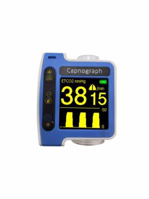 Cina Cliniche veterinarie per adulti e neonati Ospedali Capnograph portatile Etco2 Monitor in vendita