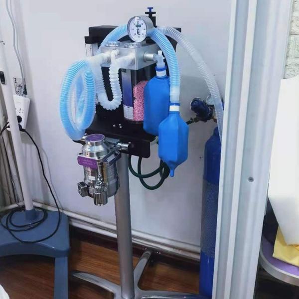 Quality Plastic Small Animal Anesthesia Machine Pets Treatment For Health for sale