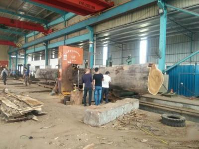 Cina macchina verticale della segheria della banda di falegnameria con il trasporto del ceppo di CNC del carrello in vendita