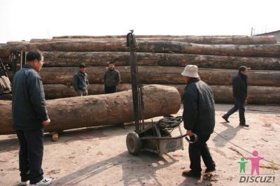 Cina Mulino di legno portatile della motosega di decespugliatore, ceppo dell'albero che incide le più brevi parti in vendita