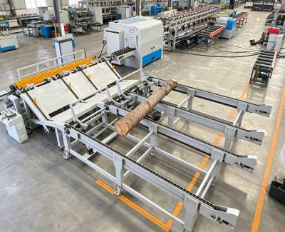 China High-Efficiency Log Multi-Rip Saw Production Line | 250-500mm Large Diameter Wood Processing Plant | 120m³/8h Capacity for sale
