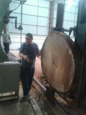 Cina Piatto di legno di 1250 mm di diametro in vendita