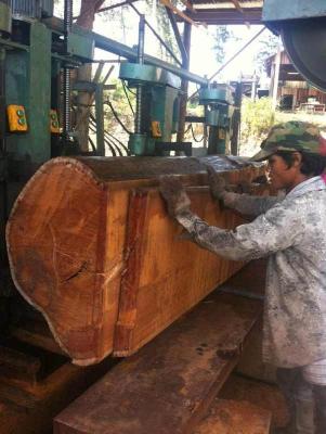 Cina Piatto di legno di 1250 mm di diametro in vendita