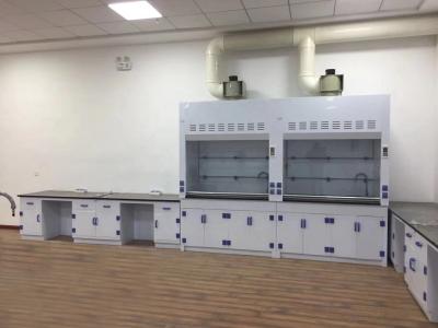 China Epoxy Resin Worktop FH1500 Mini Steel and Polypropylene Fume Hood for Durability for sale