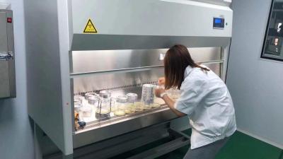 China Moderno Design 2024 Cabinet de Segurança Biológica de Escritório Classe II Cabinet de Segurança Biológica à venda