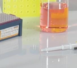 China Moleculaire biologie PCR-werkstation Contemporary Design Metal met HEPA-filter Te koop