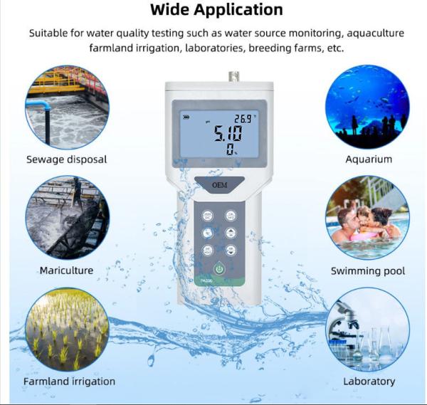 Quality Handheld Portable Digital ORP pH Meter with 65*40mm Multi-line LCD Backlight for sale