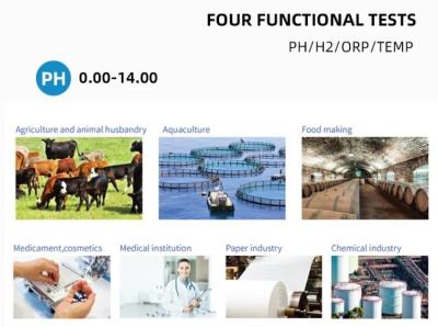 China 90g N.W Waterproof IP67 Digital Portable PH Orp Temperature Meter for Water Tester for sale