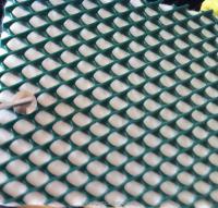 China Processing Service Moulding HDPE Grass Reinforce Nets Plastic Meshes Net for sale