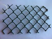 China Processing Service Moulding HDPE Grass Reinforce Nets Plastic Meshes Net for sale
