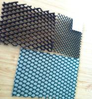 China Processing Service Moulding HDPE Grass Reinforce Nets Plastic Meshes Net for sale