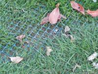China Processing Service Moulding HDPE Grass Reinforce Nets Plastic Meshes Net for sale