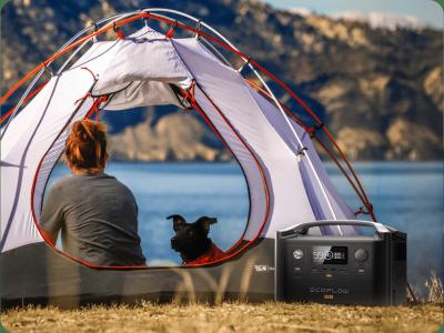 Cina 940W Max River 2 Pro Outdoor Portable Power Supply 50Hz / 60Hz in vendita