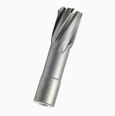Cina TCT Carbide Core Cutter Magnetic Drill Bit Ringular Cutter Bit con Weldon Shank in vendita