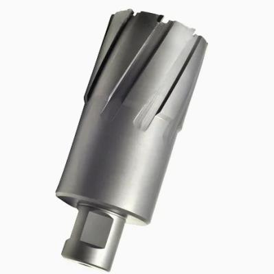 Cina TCT Carbide Core Cutter Magnetic Drill Bit Ringular Cutter Bit con Weldon Shank in vendita