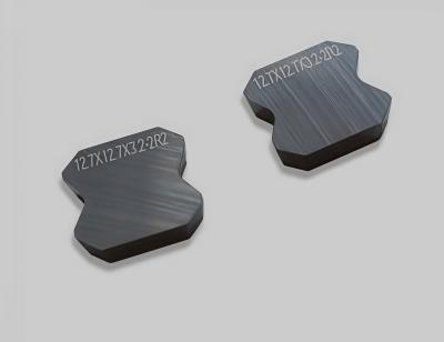 中国 炭化物プロファイルブランク木工用炭化物インサート耐摩耗性研磨仕上げ 販売のため