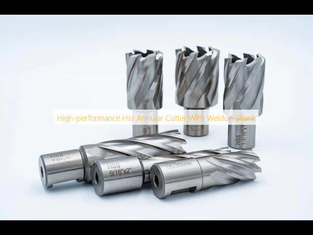 웰든 셰인코와 코타도르 데 알토 렌덴도