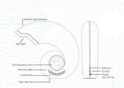 China Conch Light Speaker with bluetooth pro series speaker for best music sound enjoy for sale