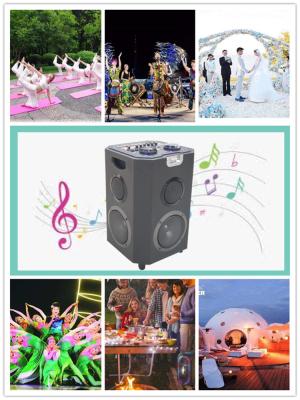 China 2020 New Design Portable  Outdoor Stage Speaker powered by AC/DC Battery/12V car light for sale