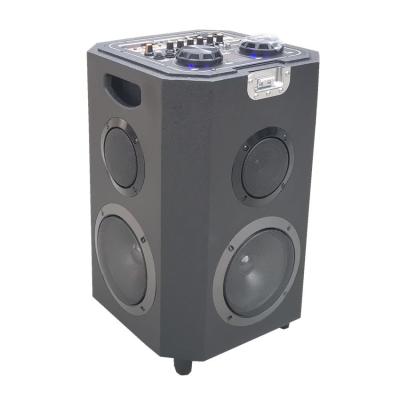 China 2020 hot professional protable audio speakers powered by AC(110/220) & Built-in battery &12V DC from car lighter for sale