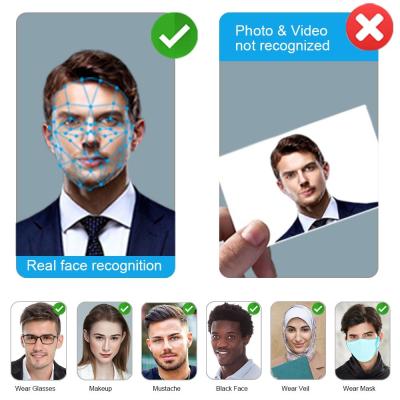 Cina Macchina di Timmy Free Biometric Time Attendance con API Rfid Card Reader in vendita