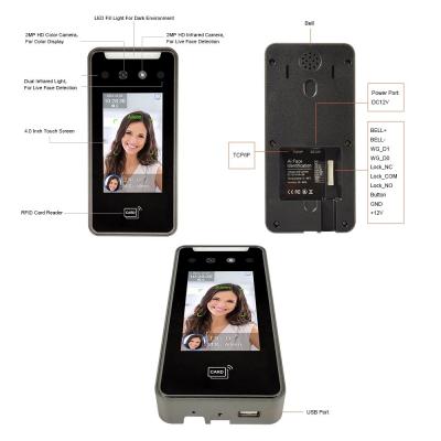 Cina Macchina di Timmy Free Biometric Time Attendance con API Rfid Card Reader in vendita